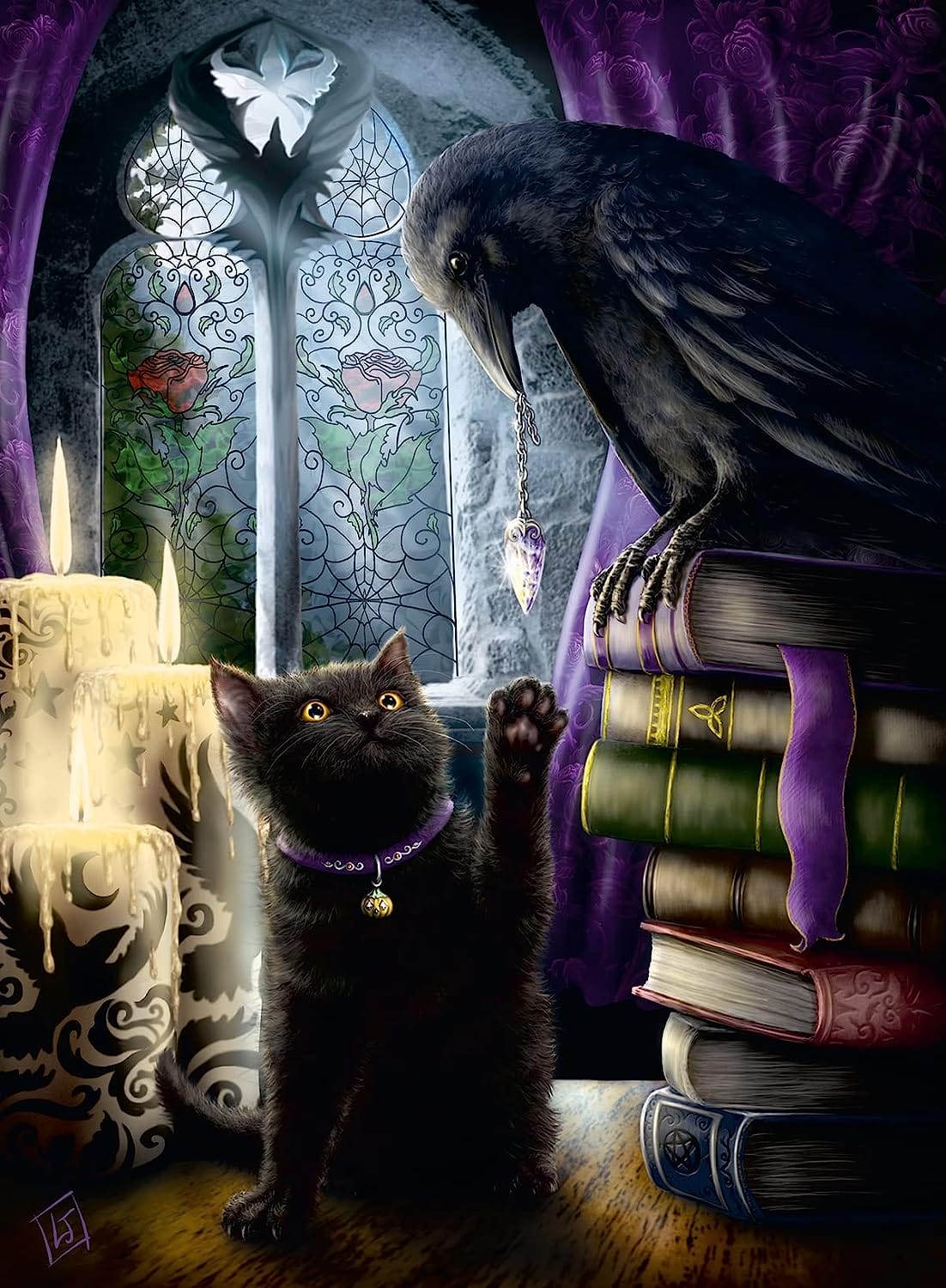 Black cat and raven (500 bita) » Spilavinir